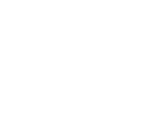 Dancing Mule Coffee Company - Springfield, MO